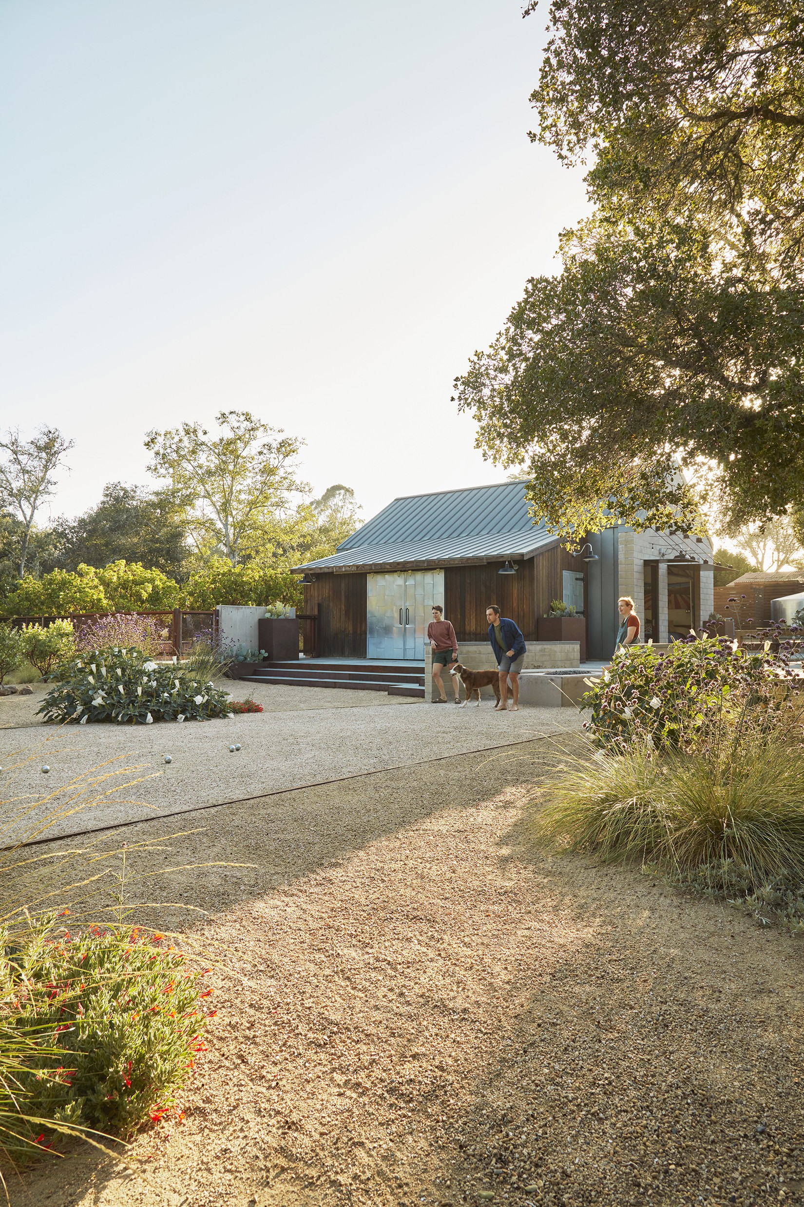 TERREMOTO.LA